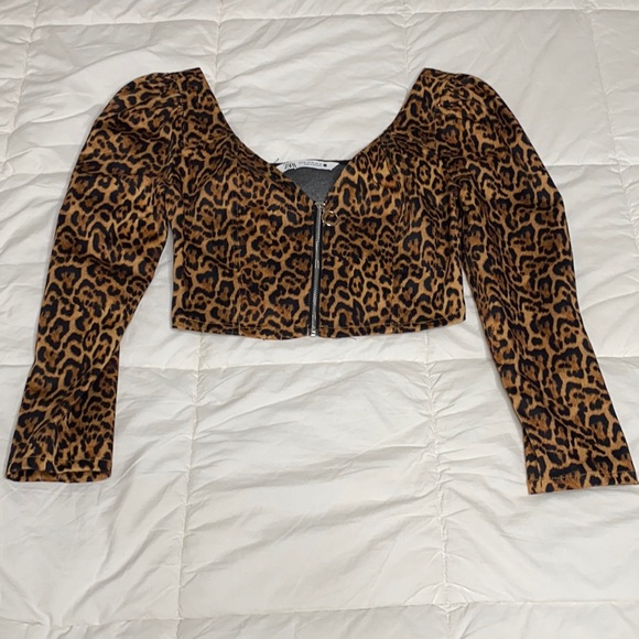 Zara | Tops | Zara Leopard Print Crop Top | Poshmark